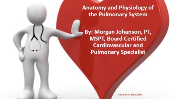 Anatomy and Physiology of the Lungs – Good Heart Education
